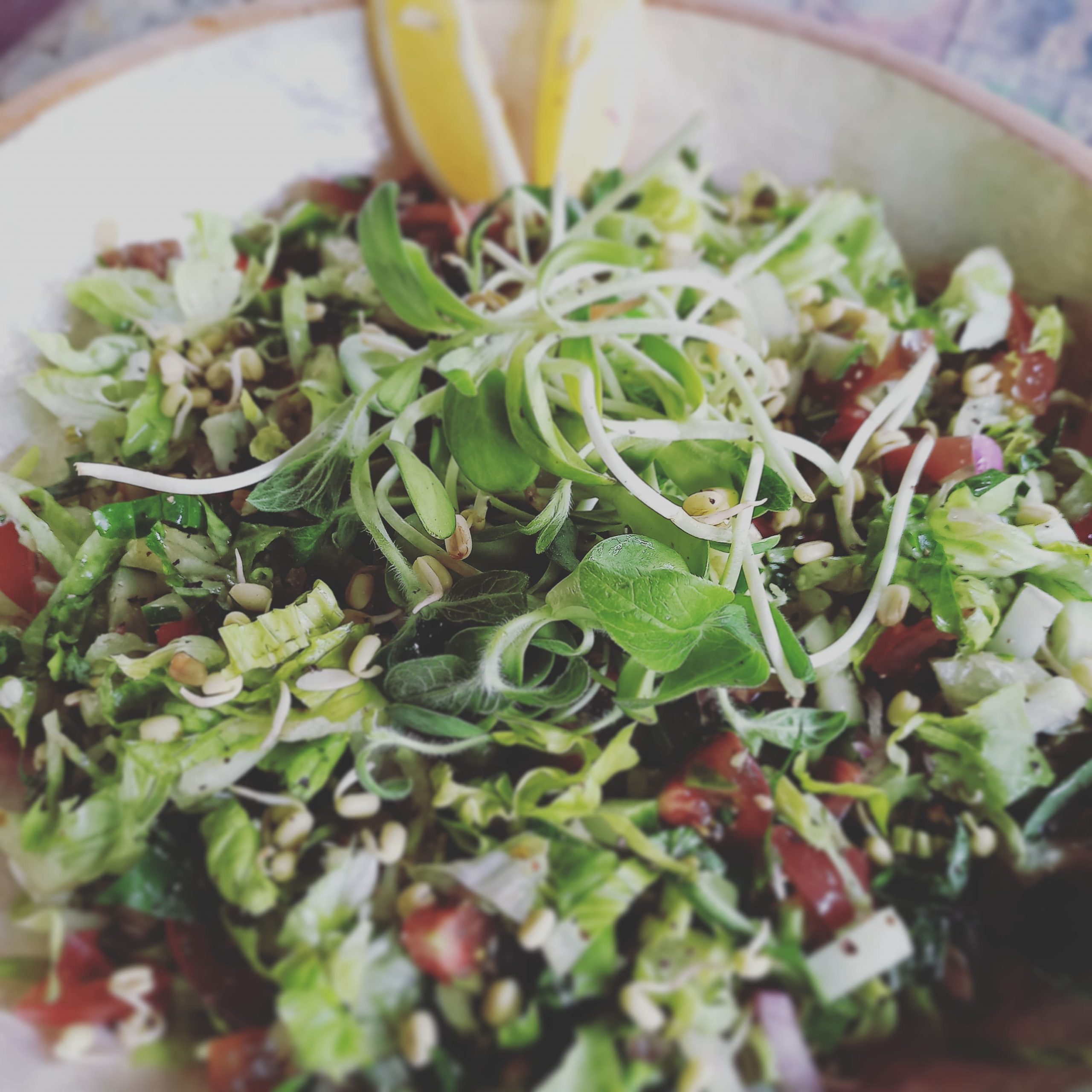 Living Foods: A Comprehensive Guide - Soraya Sheikh